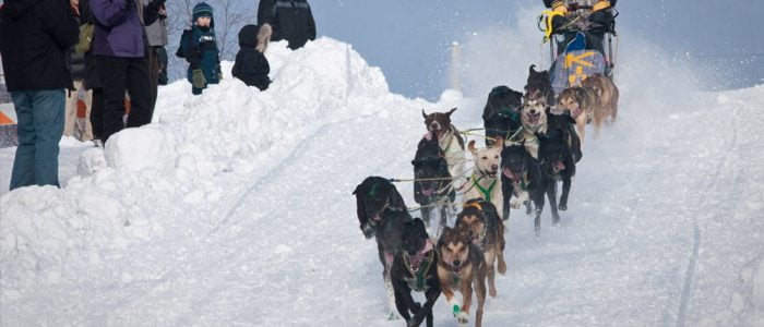 Homepage – Furrondy