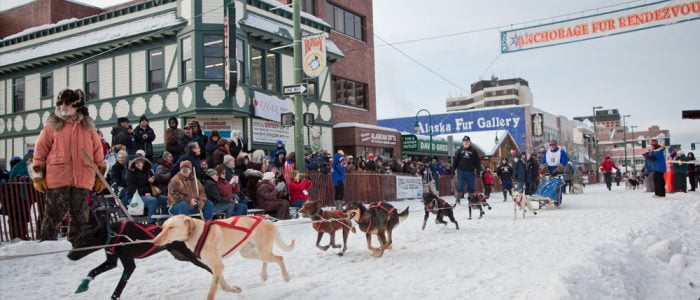 Homepage – Furrondy