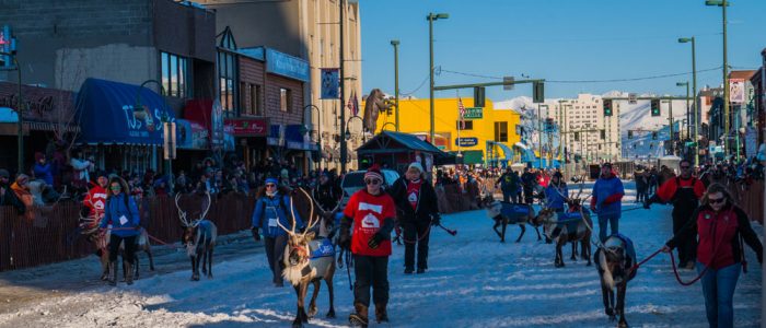 Homepage – Furrondy