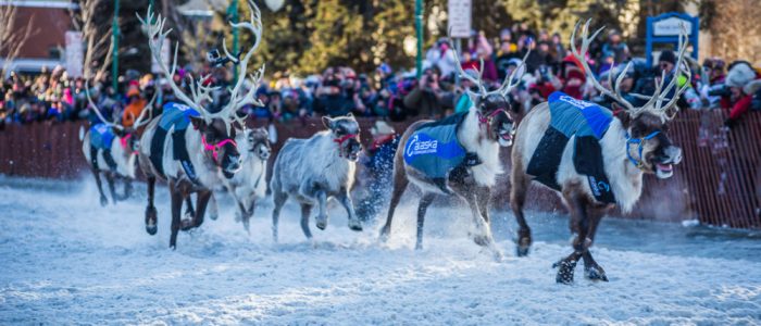 Homepage – Furrondy