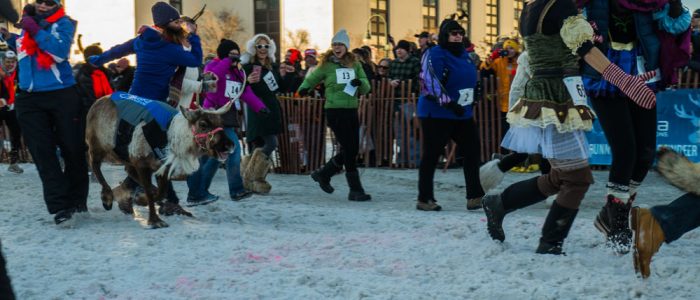 Homepage – Furrondy