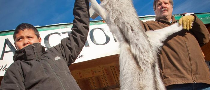 Homepage – Furrondy