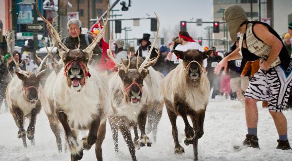 Running of the Reindeer – Anchorage Fur Rendezvous